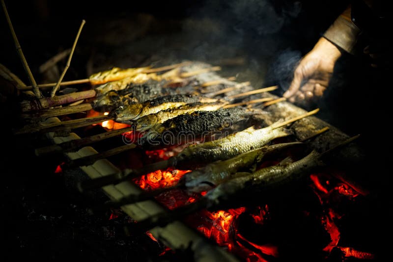 The Chef Cooks Grilled Fish on Hot Coals Stock Image - Image of ...