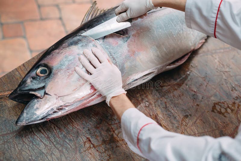 The Chef Cut Up a Big Tuna Fish in the Restaurant. Stock Image - Image ...