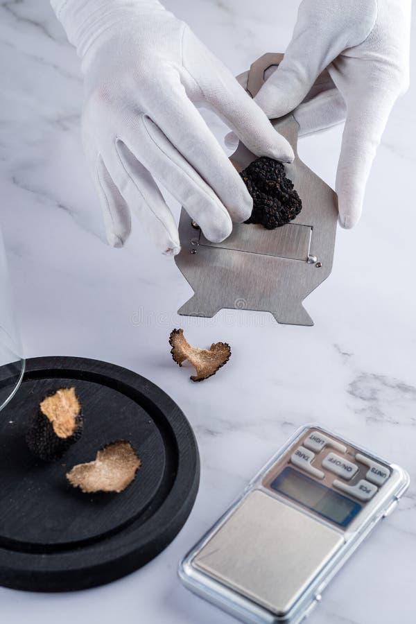 Chef Cuts the Black Truffle. Mushroom Black Truffle Stock Image - Image ...