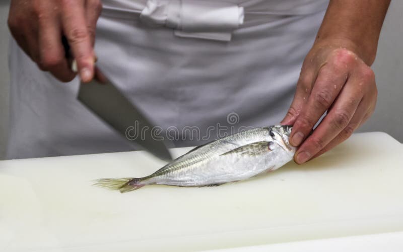 Chef Cuts the Fish into Pieces of Sushi (1) Stock Image - Image of fish ...