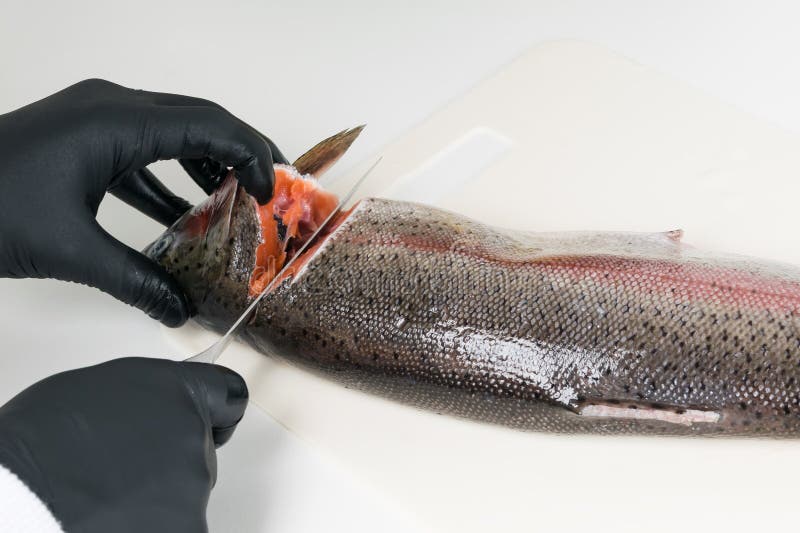 The Chef Cuts Off the Head of a Red Fish Stock Image - Image of ...