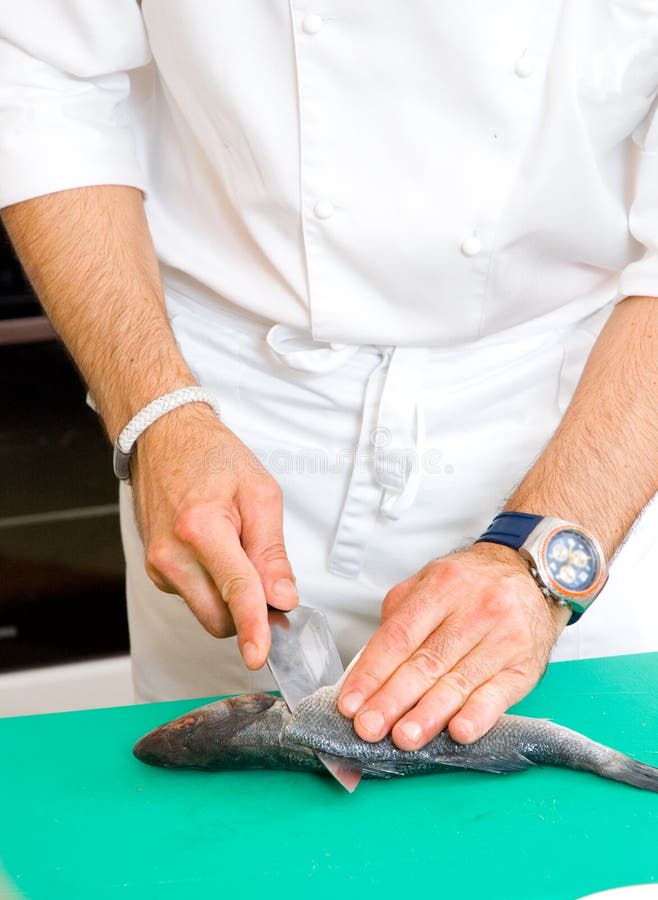 Chef cutting the fish stock photo. Image of oven, caucasian - 20246984