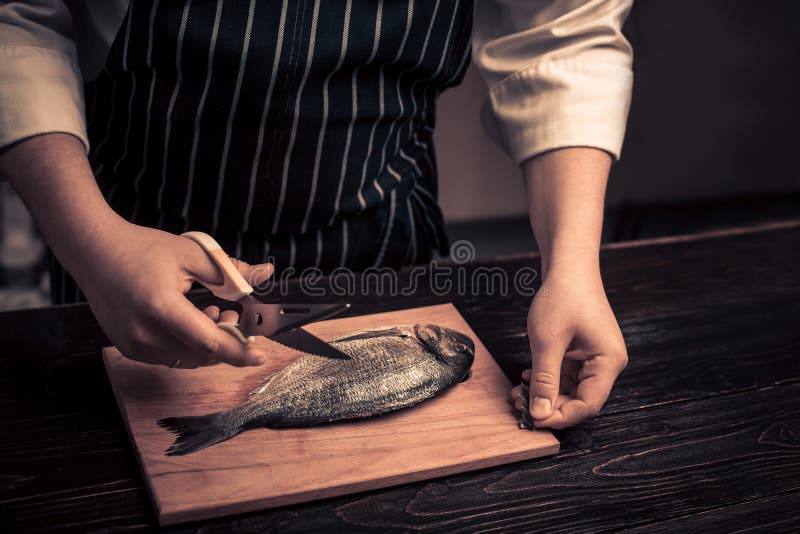 Chef Cutting the Fish on a Board Stock Photo - Image of oven ...
