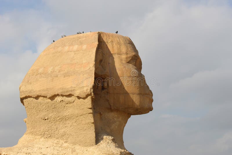 Chef De Sphinx Au Caire En Egypte Image stock - Image du constructions ...