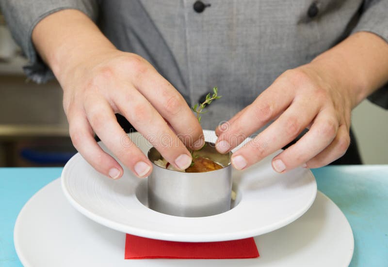 Chef is Decorating Appetizer Stock Photo - Image of food, kitchen: 20352764