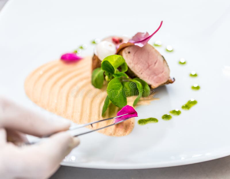 Chef decorating a dish stock image. Image of dish, plate - 74281437
