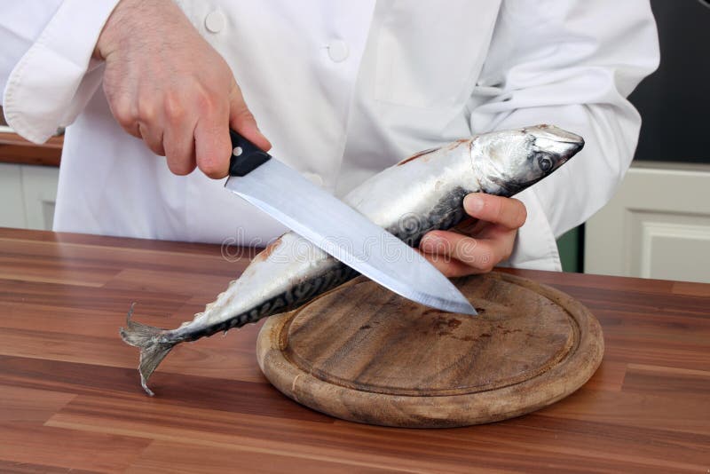 Chef and fish stock photo. Image of nature, nutrition - 23546118