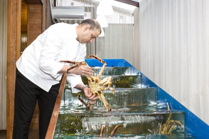 Chef of the Fish Restaurant with Seafood Stock Photo - Image of adult ...