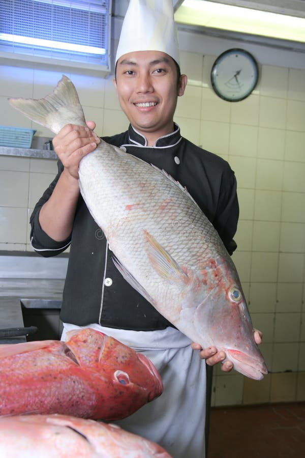 Chef and fishes stock image. Image of skill, fish, portrait - 6287301