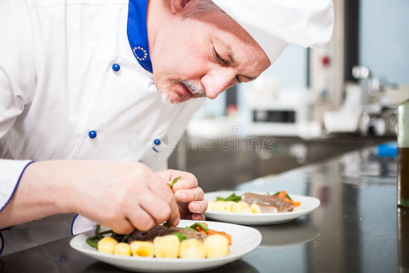 Chef garnishing a dish stock photo. Image of creative - 30419490