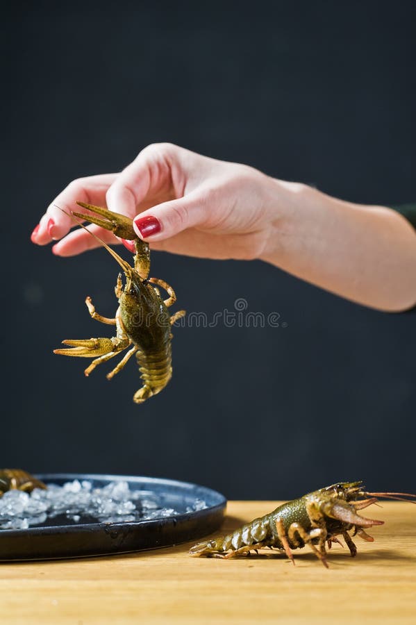 The Chef Holds a Live Crayfish. Black Background, Side View, Space for ...