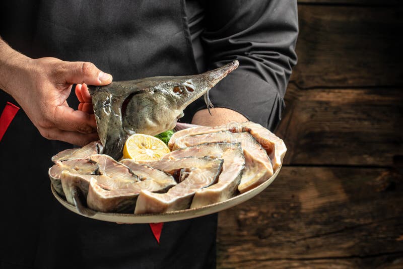 The Chef Holds Steaks of Large Raw Sturgeon Fish. Culinary, Cooking ...