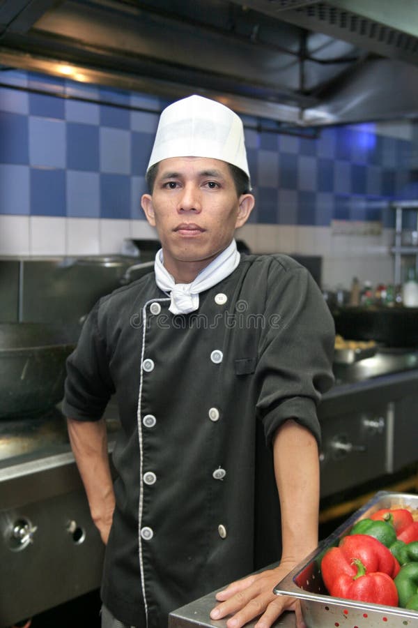 Chef in the kitchen stock image. Image of pose, employee - 7684573