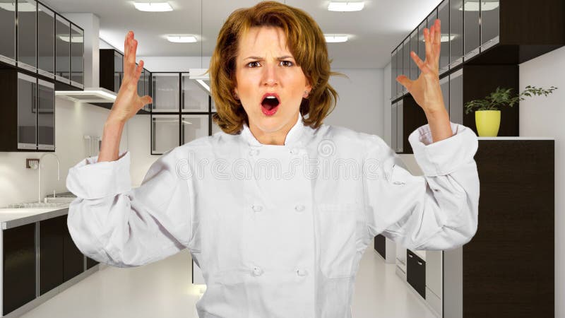 Chef in a Kitchen stock image. Image of gourmet, isolated - 36578119