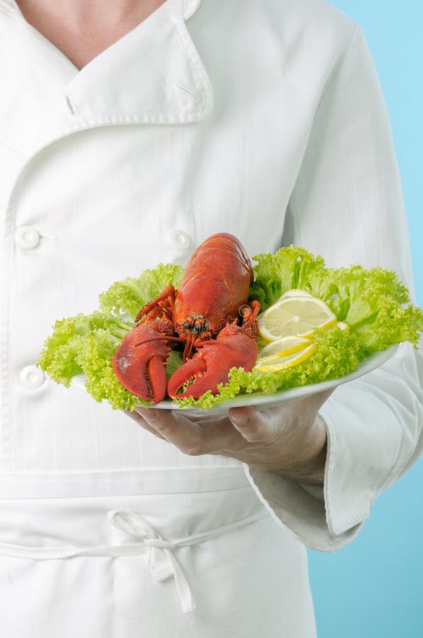 Chef with lobster stock photo. Image of elegance, cooking - 7329068