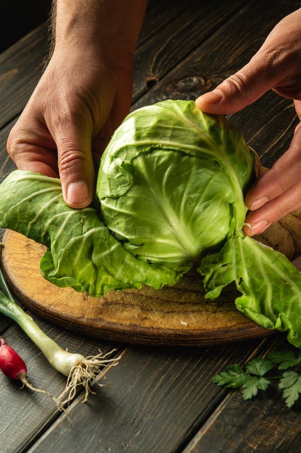 The Chef Makes a Fresh Cabbage Salad. Preparation on a Cutting Board ...