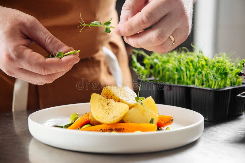 Chef Making Gourmet Dish with Microgreens Stock Photo - Image of chef ...