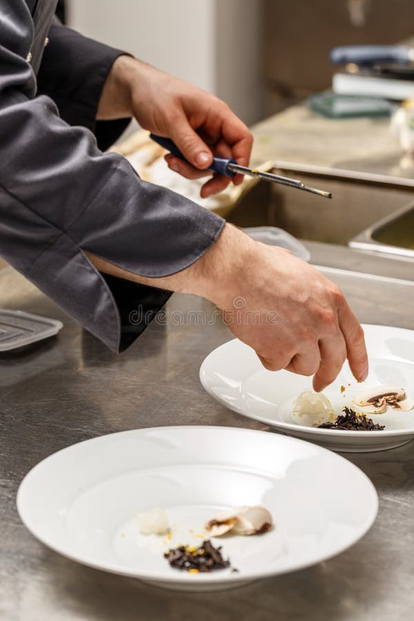 Chef making a lunch dish stock image. Image of cooking - 88018403