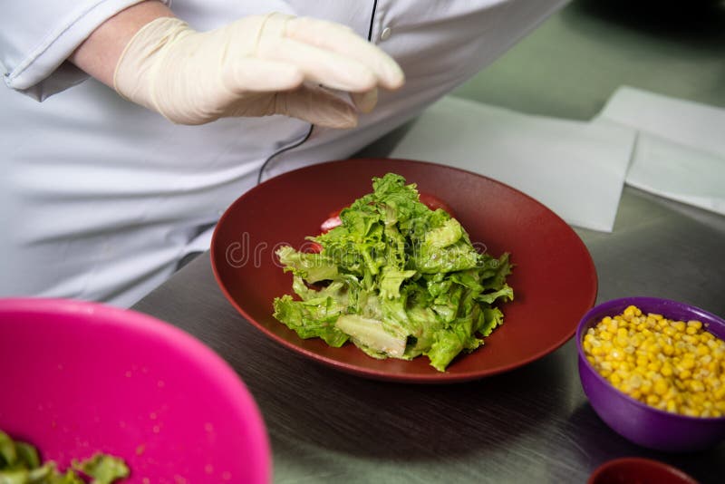 Chef Making Salad with Fish and Decorating Meal Stock Image - Image of ...