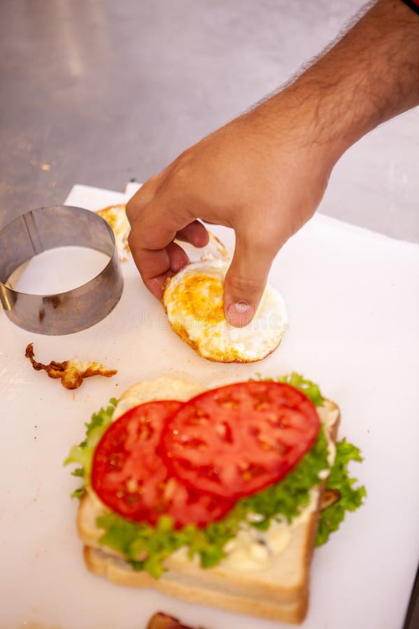 Chef Making Sandwich with Fresh Ingredient Stock Photo - Image of plate ...