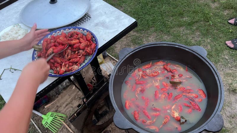 The Chef Places the Boiled River Crayfish on a Plate. the Boiled ...