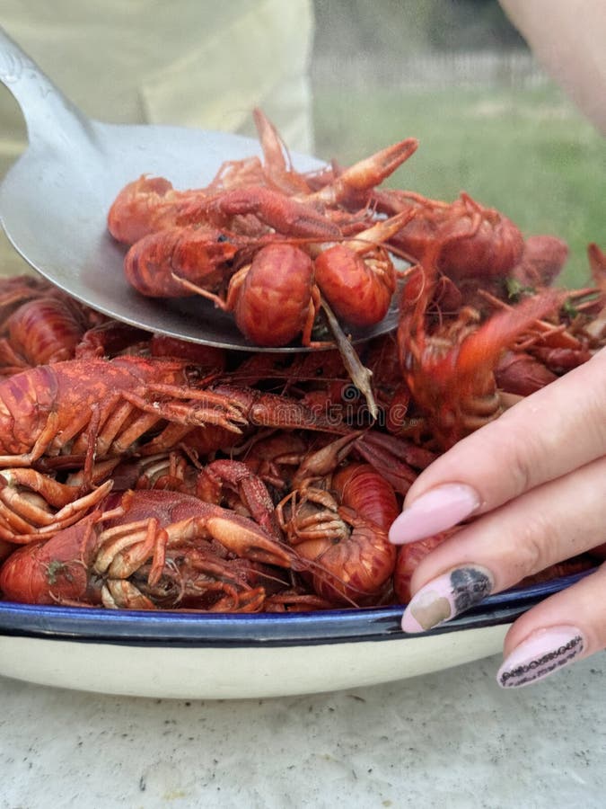 The Chef Places the Boiled River Crayfish on a Plate. the Boiled ...