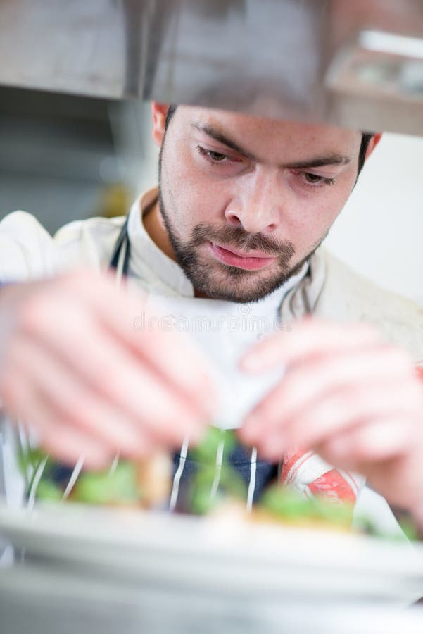 Chef Finalising Stock Photos - Free & Royalty-Free Stock Photos from ...