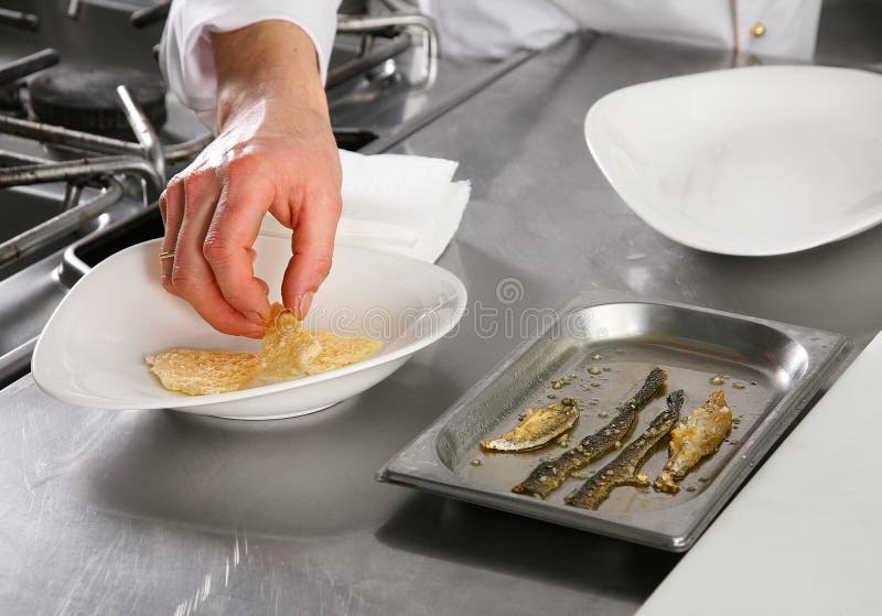 Chef prepared fish stock photo. Image of fish, professional - 22002580