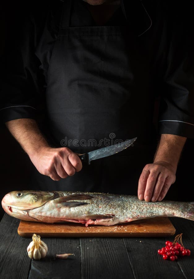 The Chef Prepares Silver Carp Fish. Preparing for the Preparation of ...