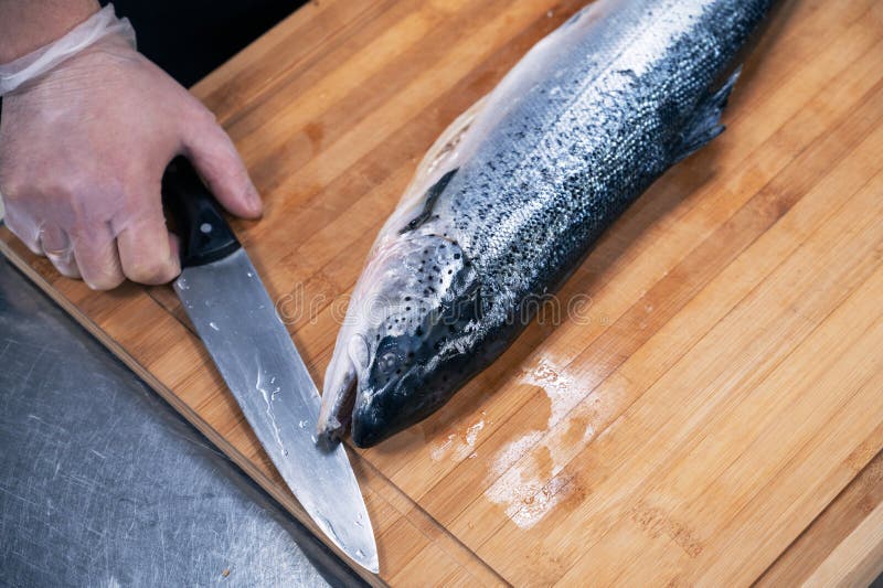 Chef Preparing a Salmon Fish Stock Photo - Image of chef, meal: 244192968