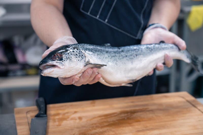 Chef Preparing a Salmon Fish Stock Photo - Image of freshness, cooking ...