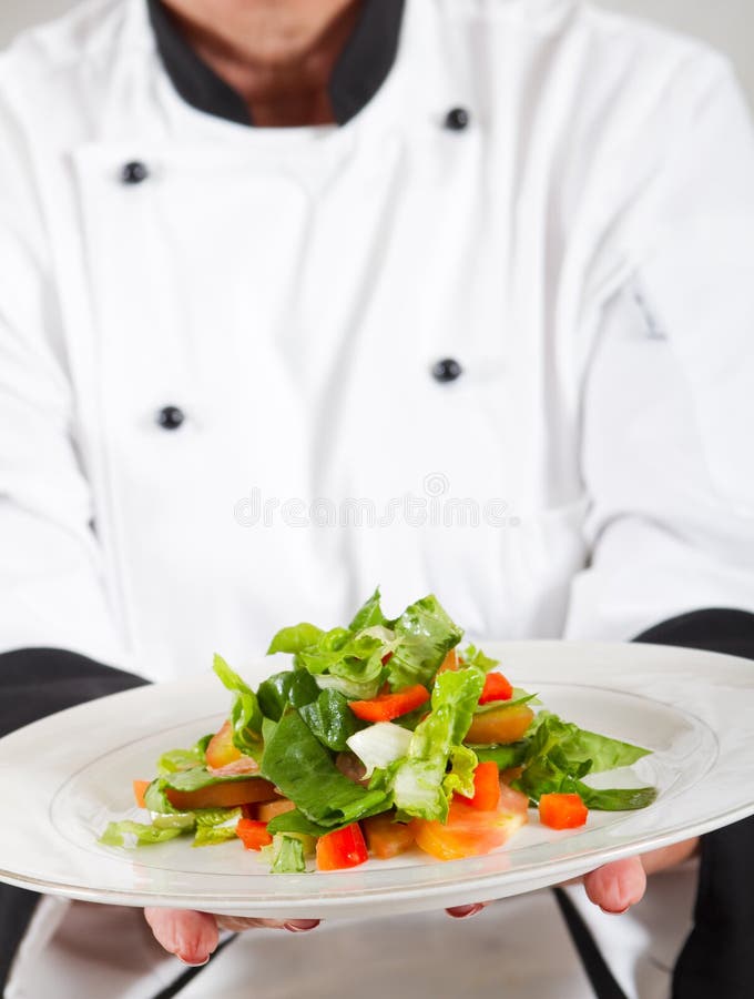 Chef presenting food stock photo. Image of chef, cook - 14985460