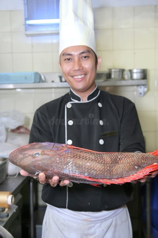 Red snapper fish meat stock photo. Image of restaurant - 7237512