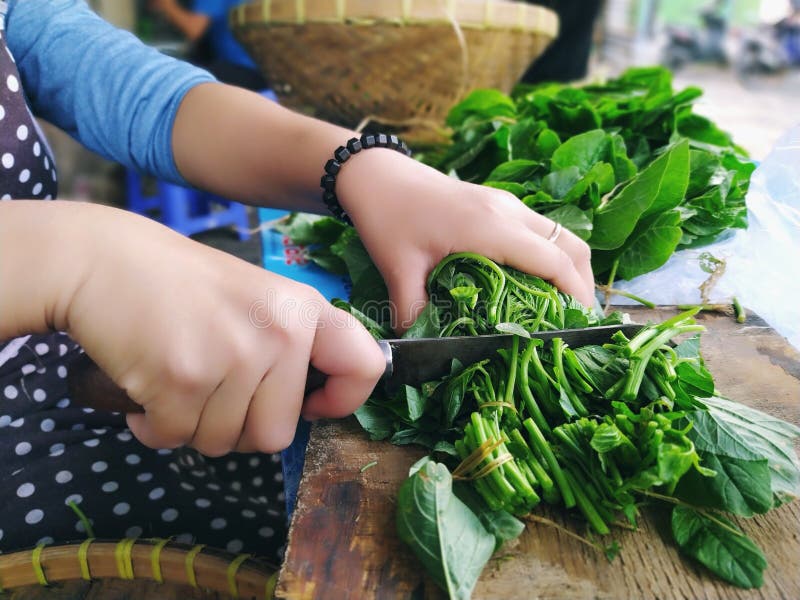 Chef& X27;s Hand Cutting Green Vegetables Stock Photo - Image of ...