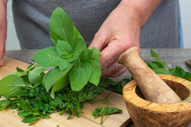 Chef`s Hand Holds Basil before Cooking in the Kitchen Stock Photo ...