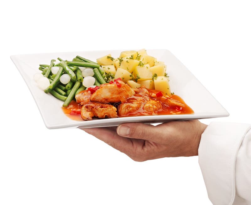 Chef Serving Food on a Plate Stock Photo - Image of dish, waiter: 53790534