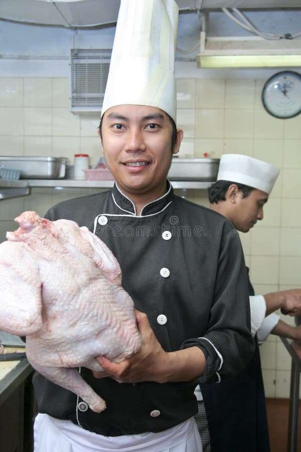 Chef with turkey poultry stock image. Image of turkey - 7585875