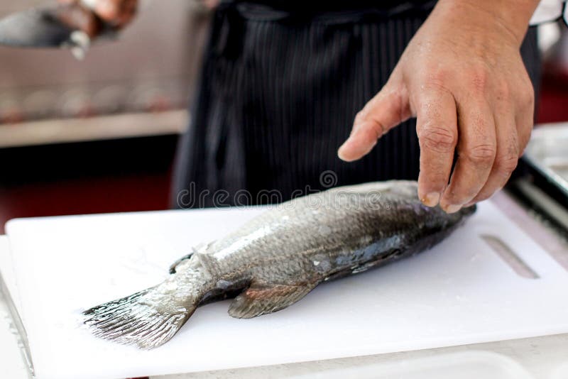 Filleting Fish stock photo. Image of nature, market, dinner - 13562916