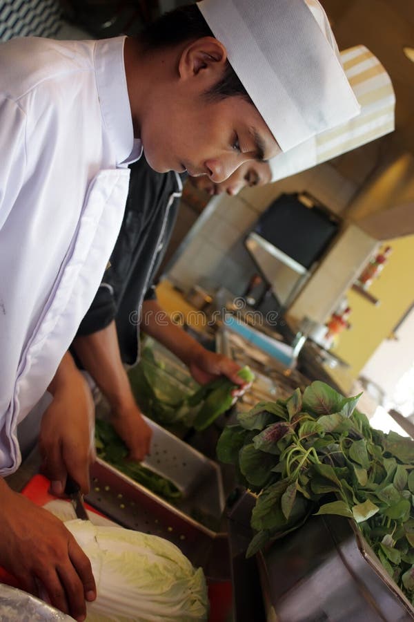 Chef Working in the Kitchen Stock Image - Image of chefs, asia: 9631125