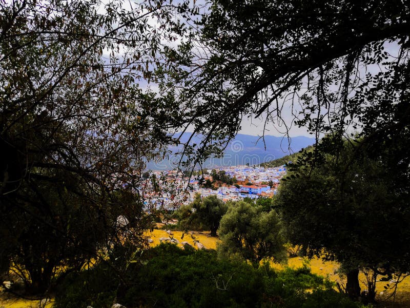 Chefchaouen, La Ciudad Azul Imagen de archivo editorial - Imagen de ...