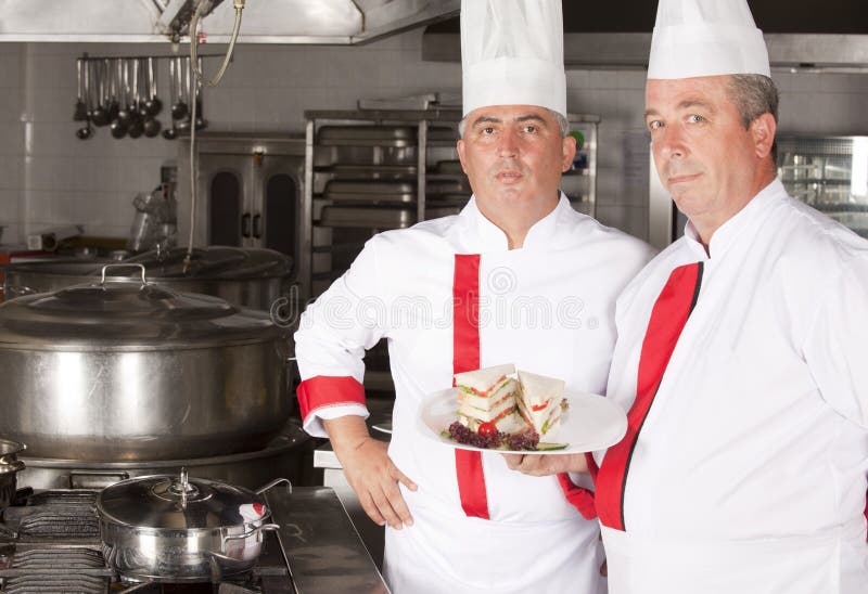 Chefs stock image. Image of show, plate, cool, careers - 26395793