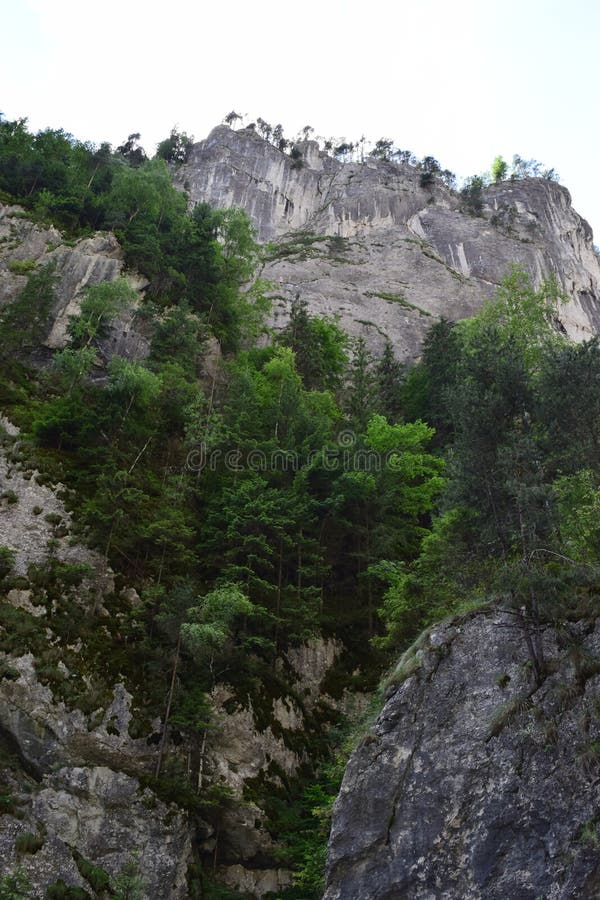 Cheile Bicazului National Park Stock Photo - Image of terrain, park ...