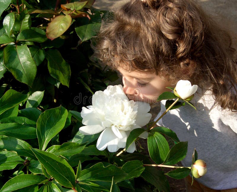 Cheire as flores imagem de stock. Imagem de cabelo, verde - 138369