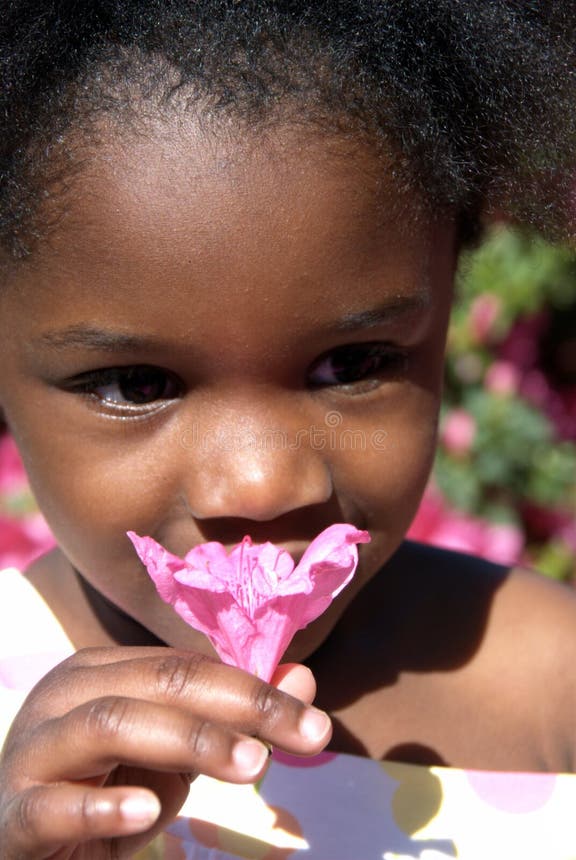 Cheire as flores imagem de stock. Imagem de fresco, amor - 4712875