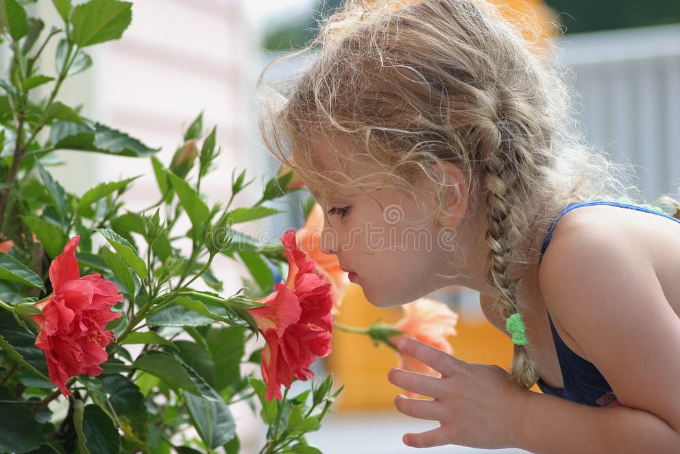 Cheire as flores imagem de stock. Imagem de cheiro, flores - 5850375