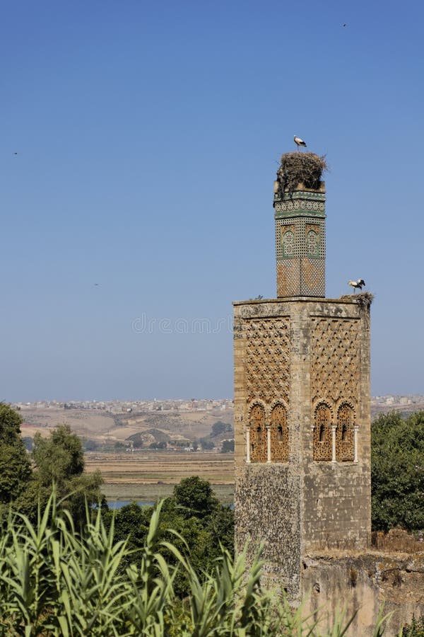 CHELLAH, a Historic Monument Stock Photo - Image of morocco, fort: 10711320