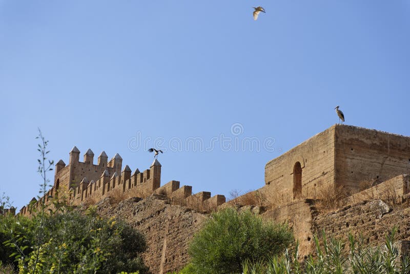 CHELLAH, a Historic Monument Stock Photo - Image of morocco, fort: 10711320
