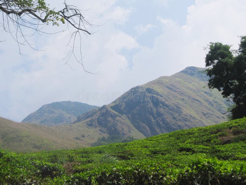 Chembra Peak Meppadi Wayanad Stock Photo - Image of hill, prairie ...
