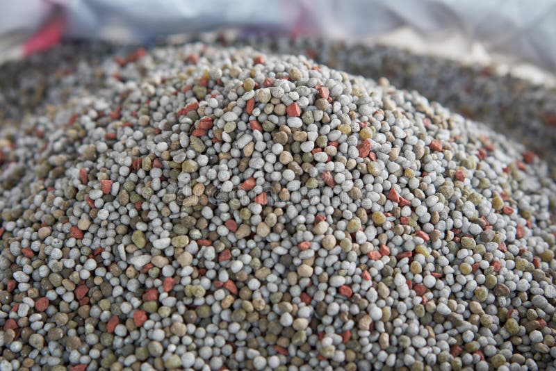 Chemical Fertilizer or Organic Fertilizer Stock Photo - Image of liming ...