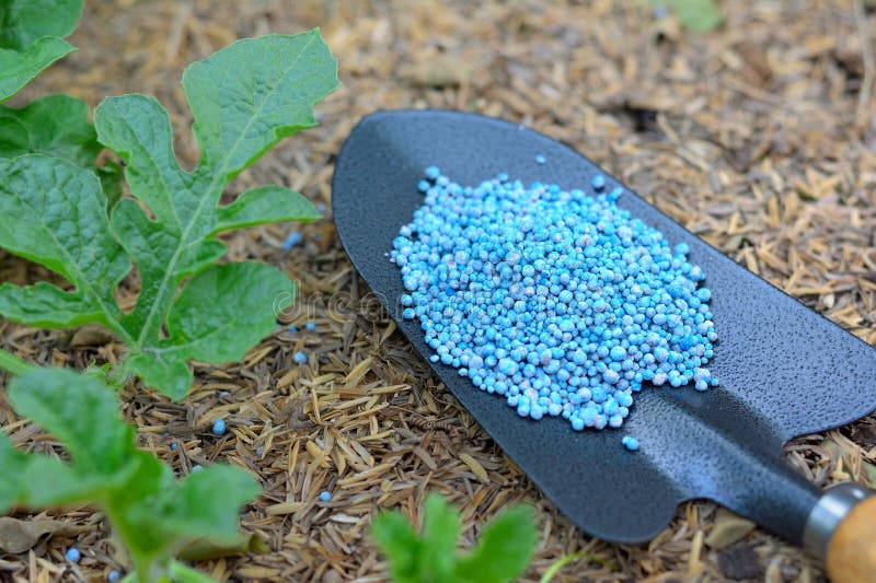 Chemical Fertilizers in Planting Spoon Stock Illustration ...